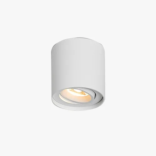 TL-ATOM 100 - T Luce