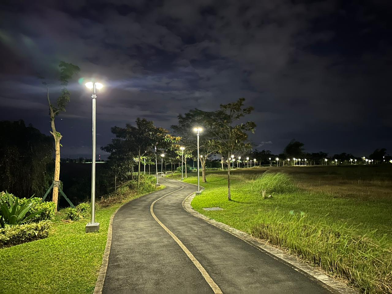 Ayala Vermosa Park - T Luce